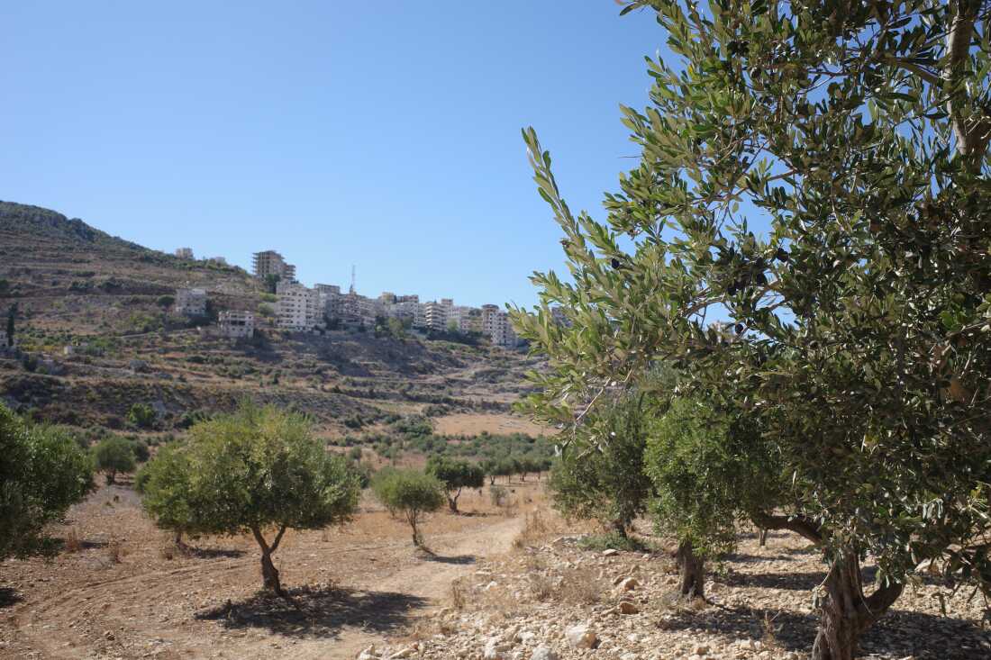 Syrians displaced by war return to find homes occupied : NPR - MORE ...